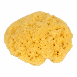 Burete de mare natural pentru față mătăsos | 4home - confortul casei tale