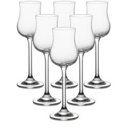Set de pahare pentru grappa/rom Tescoma CHARLIE, 6buc, 110 ml | 4home ...