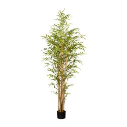 Plantă artificială Bamboo, 180 cm, verde | 4home - confortul casei tale