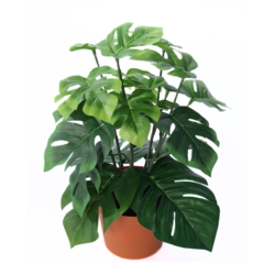 Plantă artificială Monstera în ghiveci, 27 cm | 4home - confortul casei ...