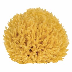 Burete de mare natural de spălare | 4home - confortul casei tale