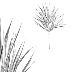 Tráva, barva stříbrná matná. | 4home - pohodlí domova