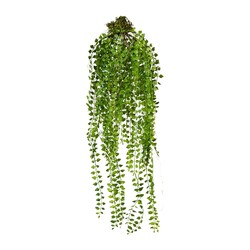Plantă artificială Columnea suspendată, 48 cm,verde | 4home - confortul ...